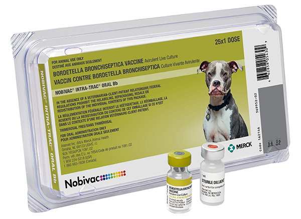 Merck NOBIVAC® INTRA-TRAC® ORAL Bb - Gordonville, PA - King's Pet